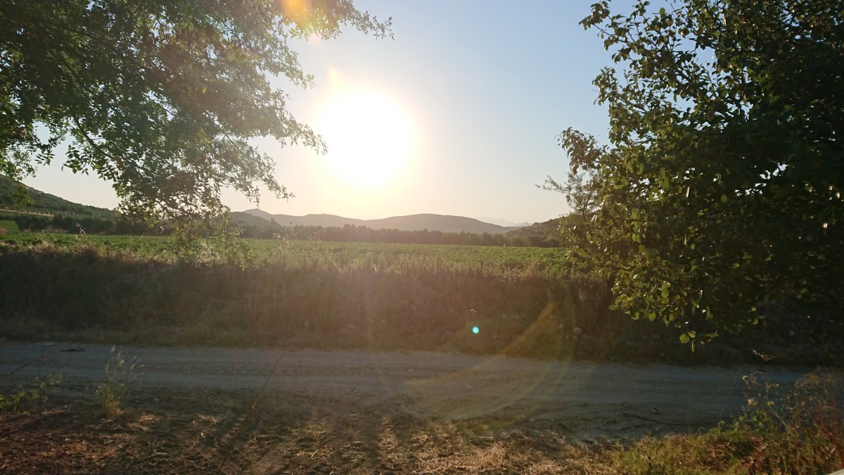 Chess: The Truth vs The Honest Truth – Observations From the Spectrum